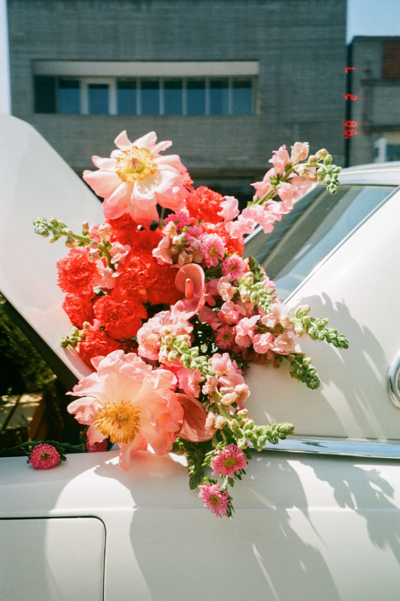 The Color Series: Yellow - Drop Cap Design