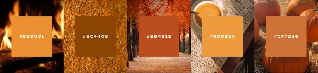 The Color Series: Orange - Drop Cap Design