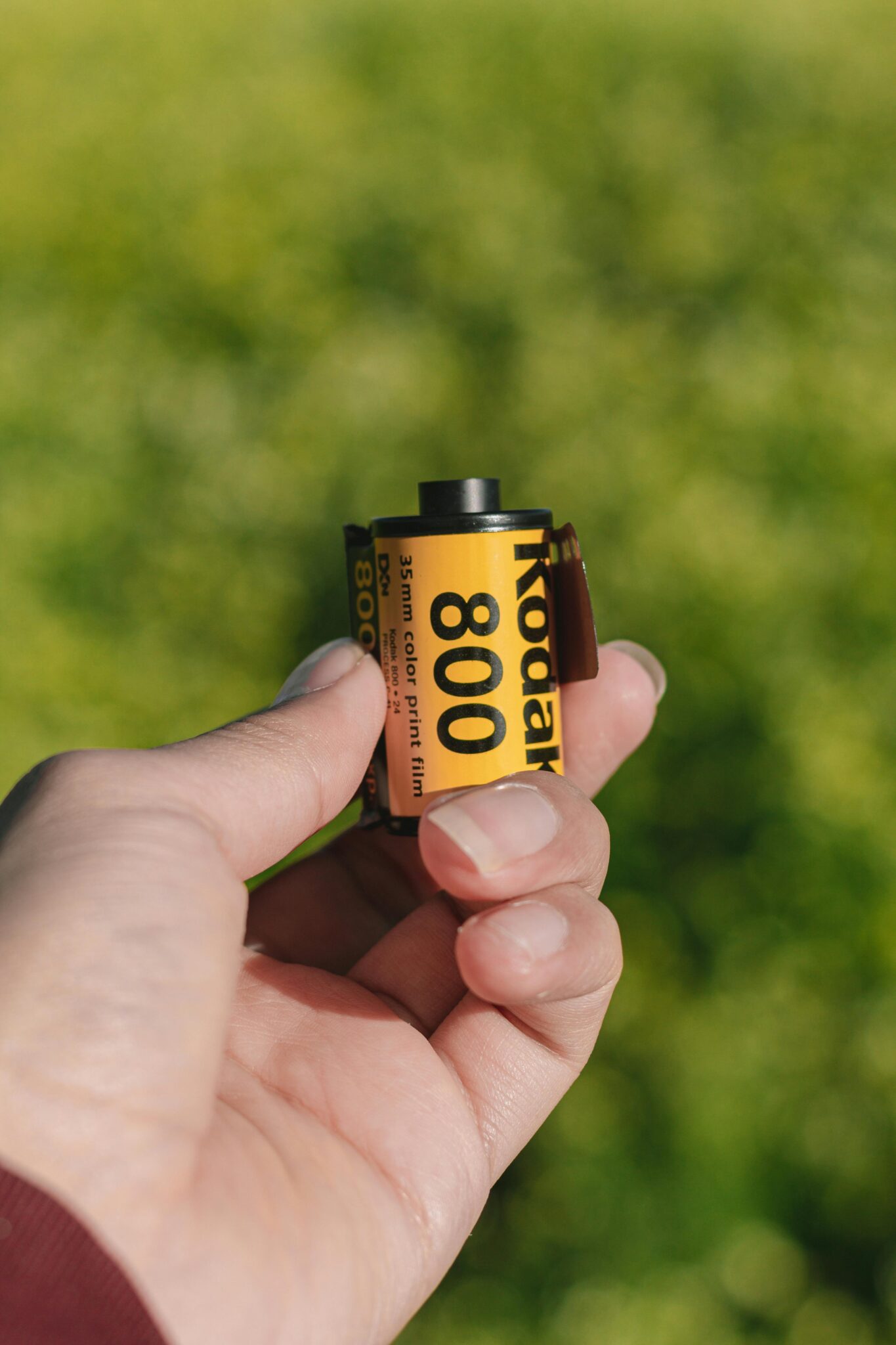 The Color Series: Yellow - Drop Cap Design