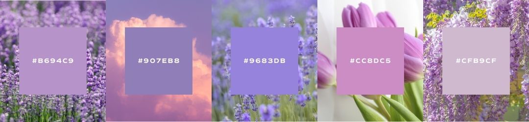 The Color Series: Purple - Drop Cap Design