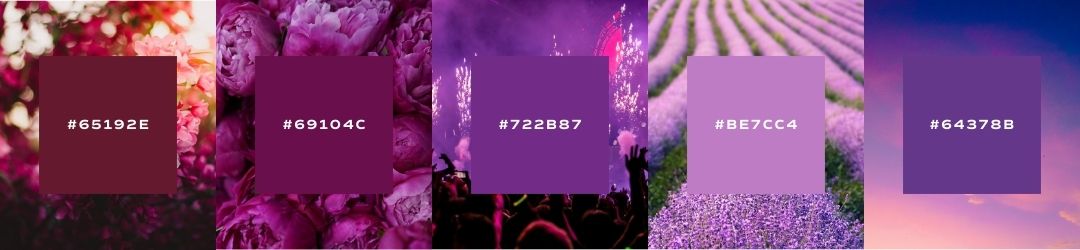 The Color Series: Purple - Drop Cap Design